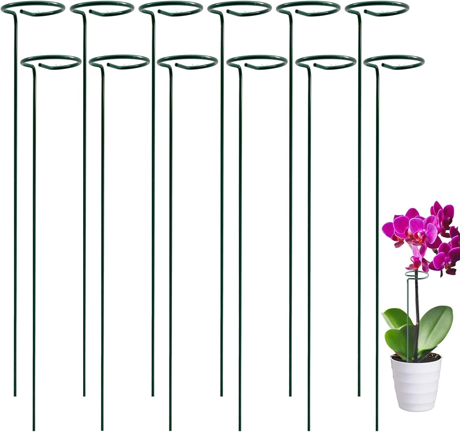 Amazon.com : 12 Pack 16 inch Plant Support Stakes, Metal Garden Support ...