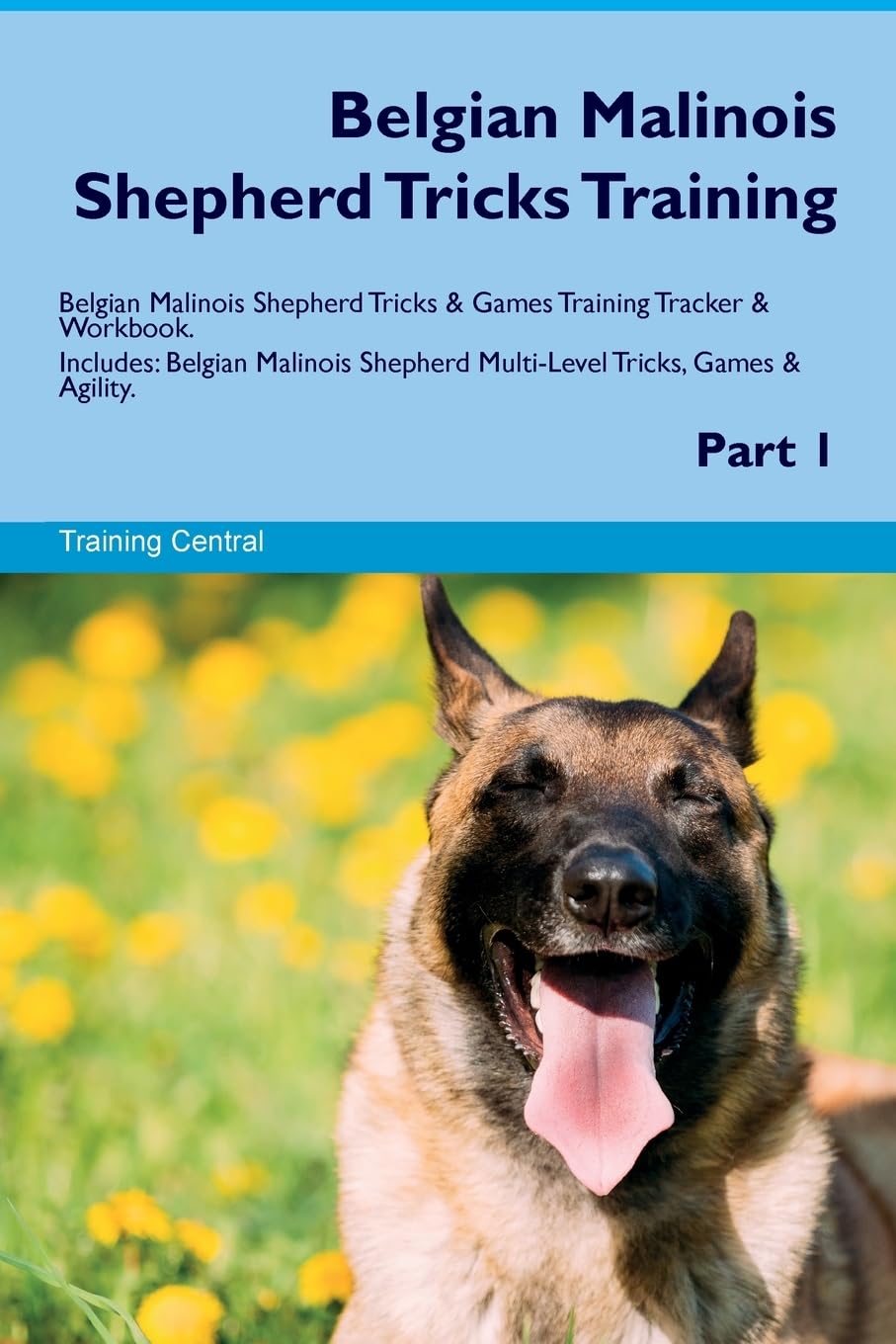 Belgian Malinois Shepherd Tricks Training Belgian Malinois Shepherd ...