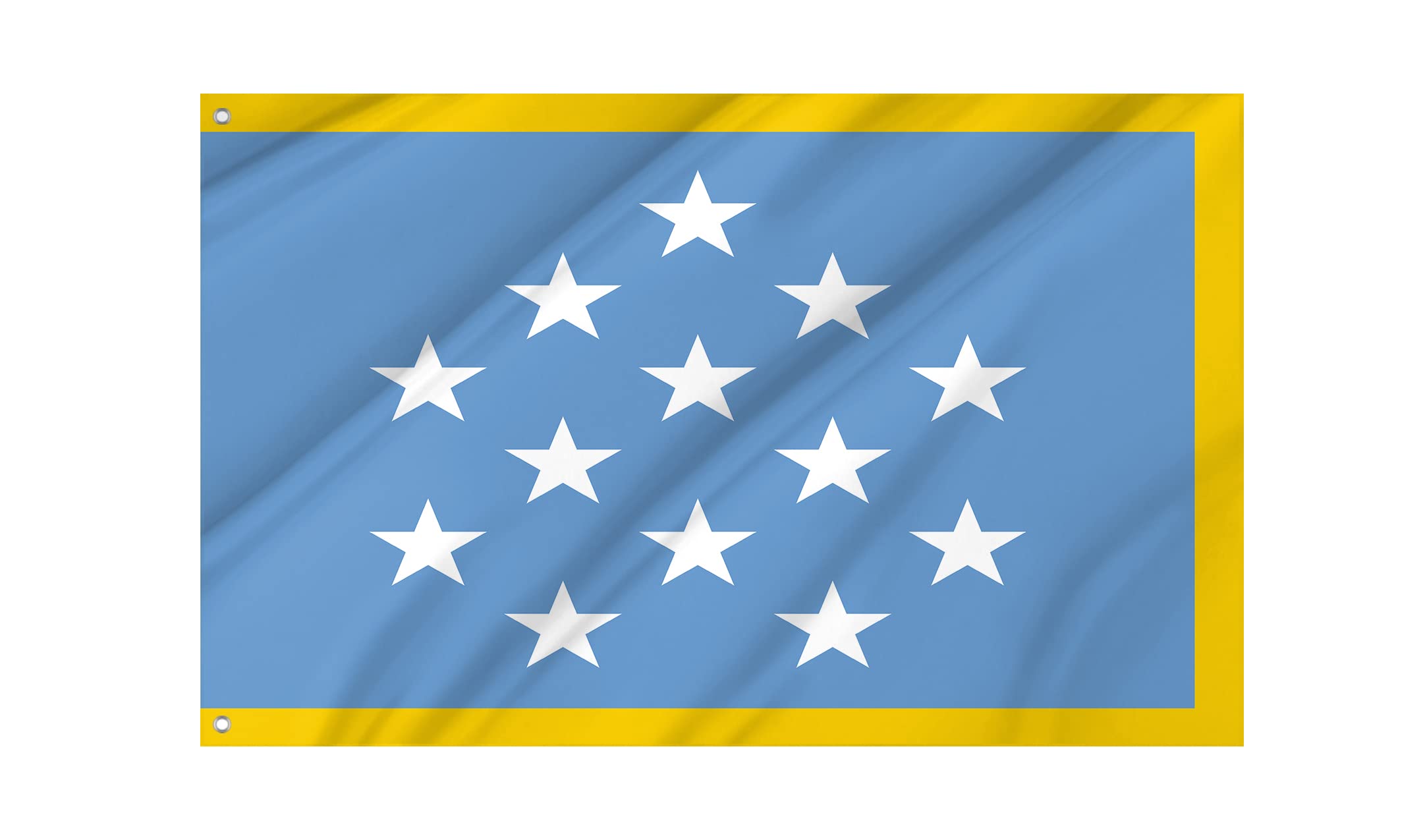 Amazon.com : US Medal of Honor Flag with Gold Fringe, Unique Design ...