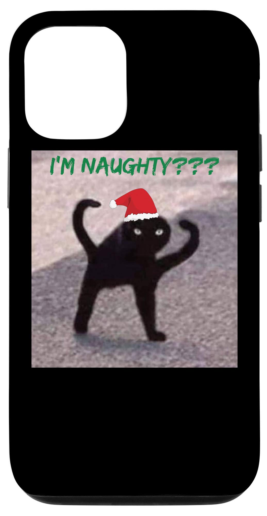 Angry Christmas Cat Meme