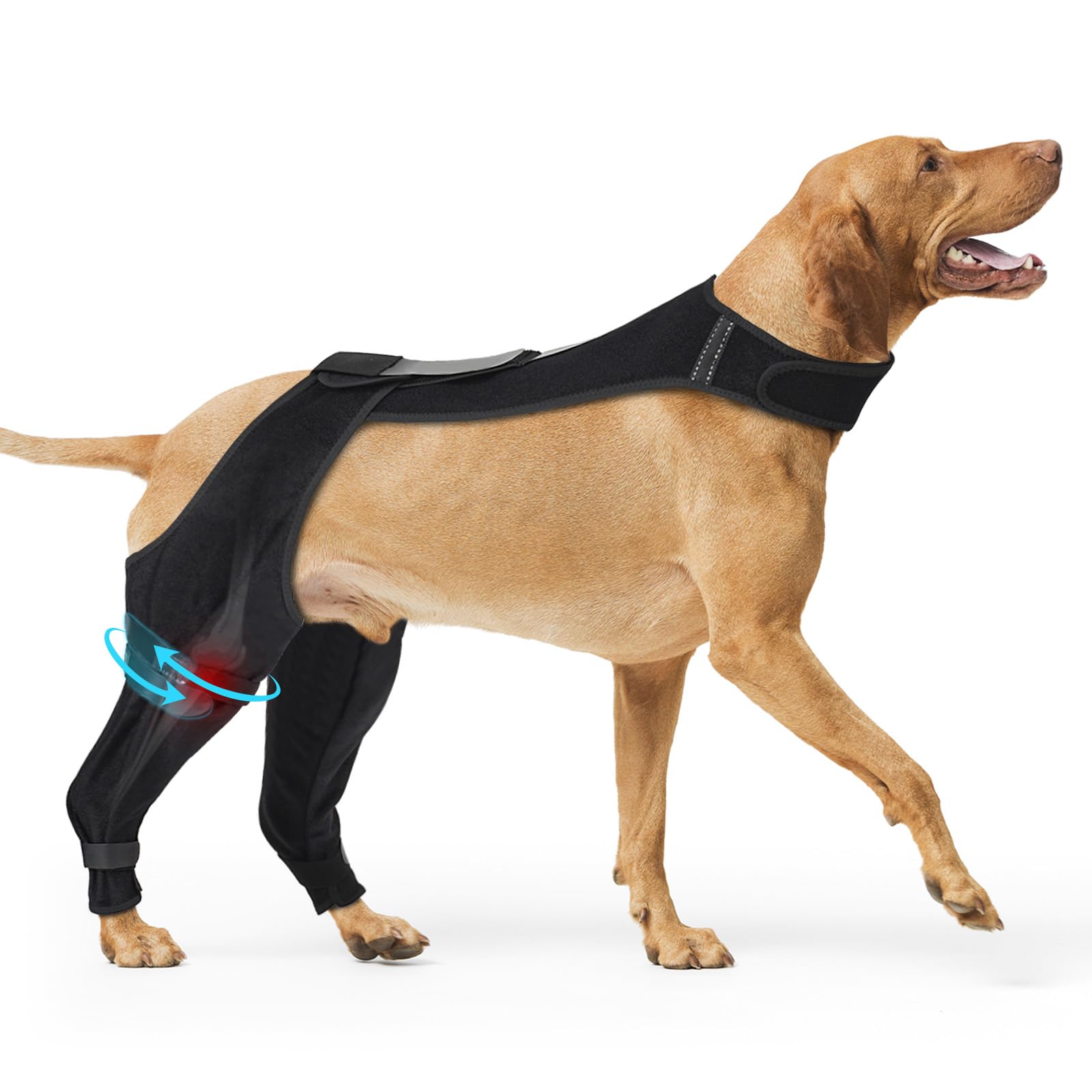 Amazon.com : Supet Dog Rear Leg Sleeve to Stop Licking, Breathable ...
