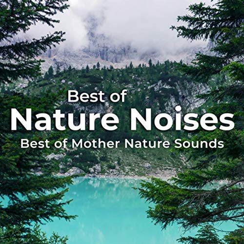 Play Best of Nature Noises by Best of Mother Nature Sounds on Amazon Music