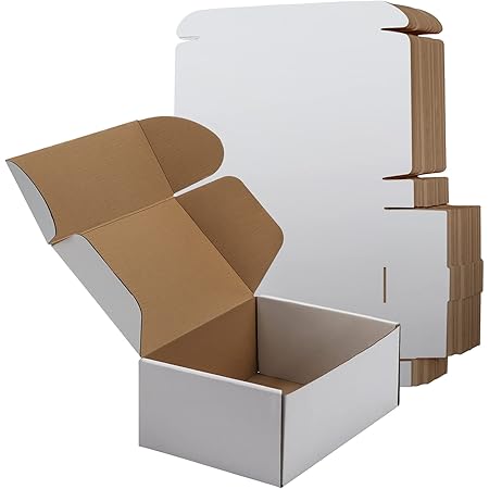 Amazon.com: HORLIMER 12x9x4 inches Shipping Boxes Set of 20, White ...