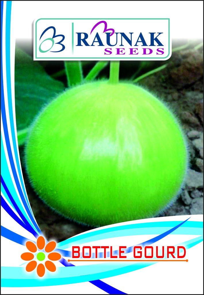 Buy Indica Bottle Gourd Round/GOL GHIYA Punjab DESI 10 / 4 Packets OP ...