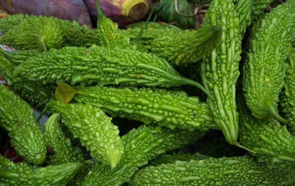 Sakuntala Hybrid Seeds Gangajali Bitter Gourd Karela Seeds for Home ...