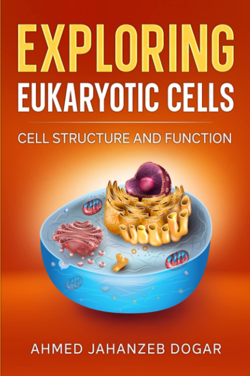 Eukaryotic Cell Structure And Function Lysosome | Description,