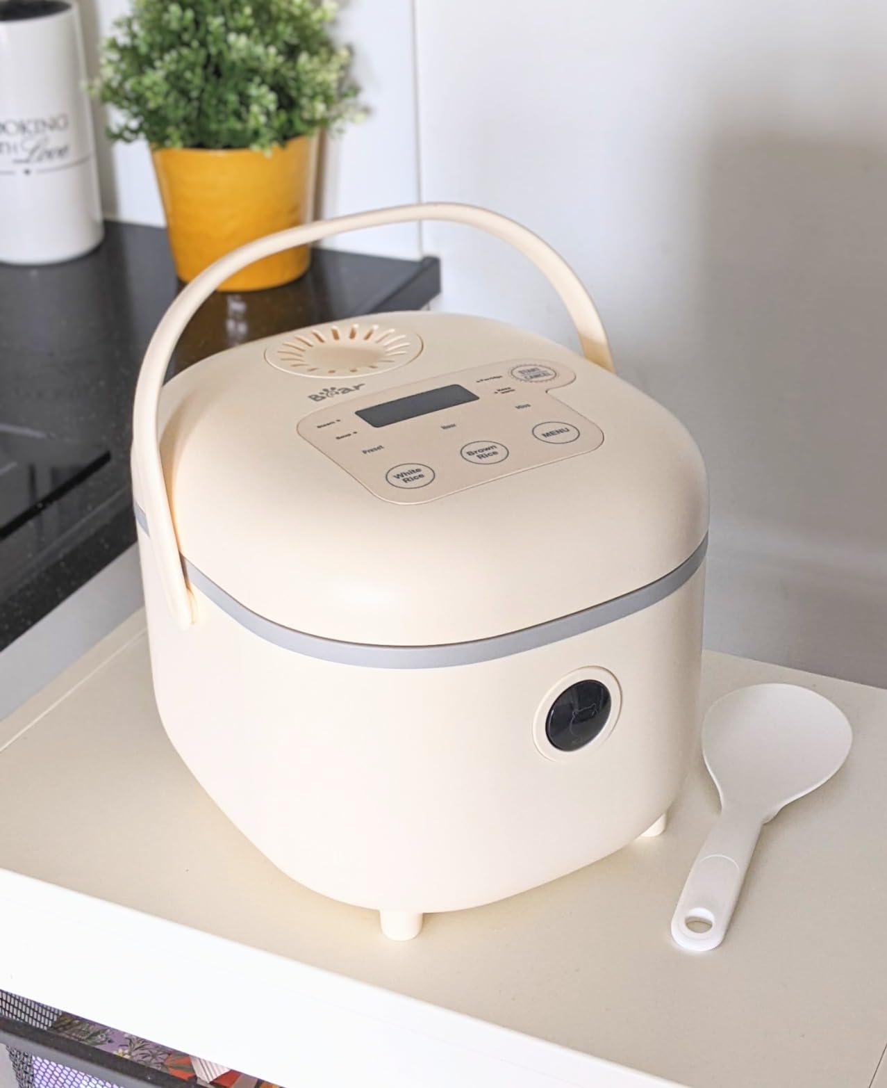 Bear 2 L Rice Cooker with Steamer 6 Functions for Cooking Rice with ...