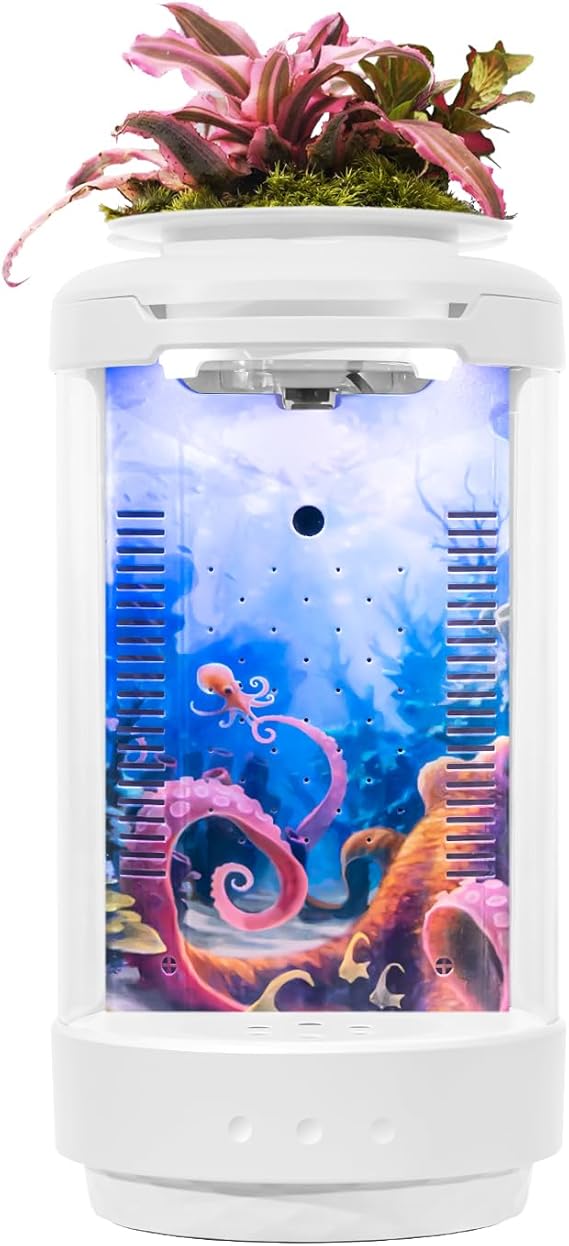 Amazon.com : MRZMSZPET Small Fish Tank 1.2 Gallon Aquarium Starter Kit ...