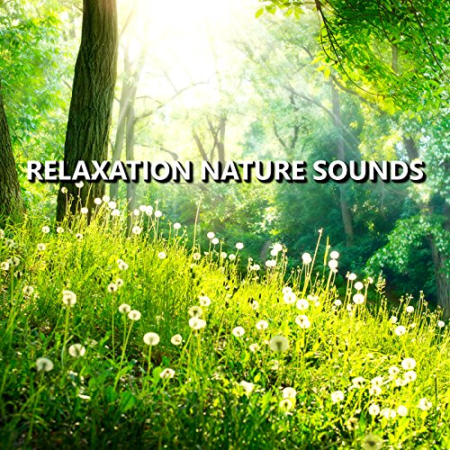 Amazon Music Unlimited - Nature Sounds 『Relaxation Nature Sounds』