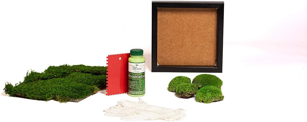DIY Moosbild selber machen, Wandbilder selber kleben, Moosbilder selbst ...