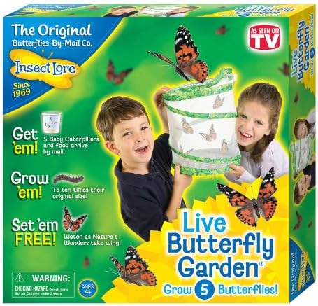 Amazon.com: Insect Lore Butterfly Garden : Toys & Games