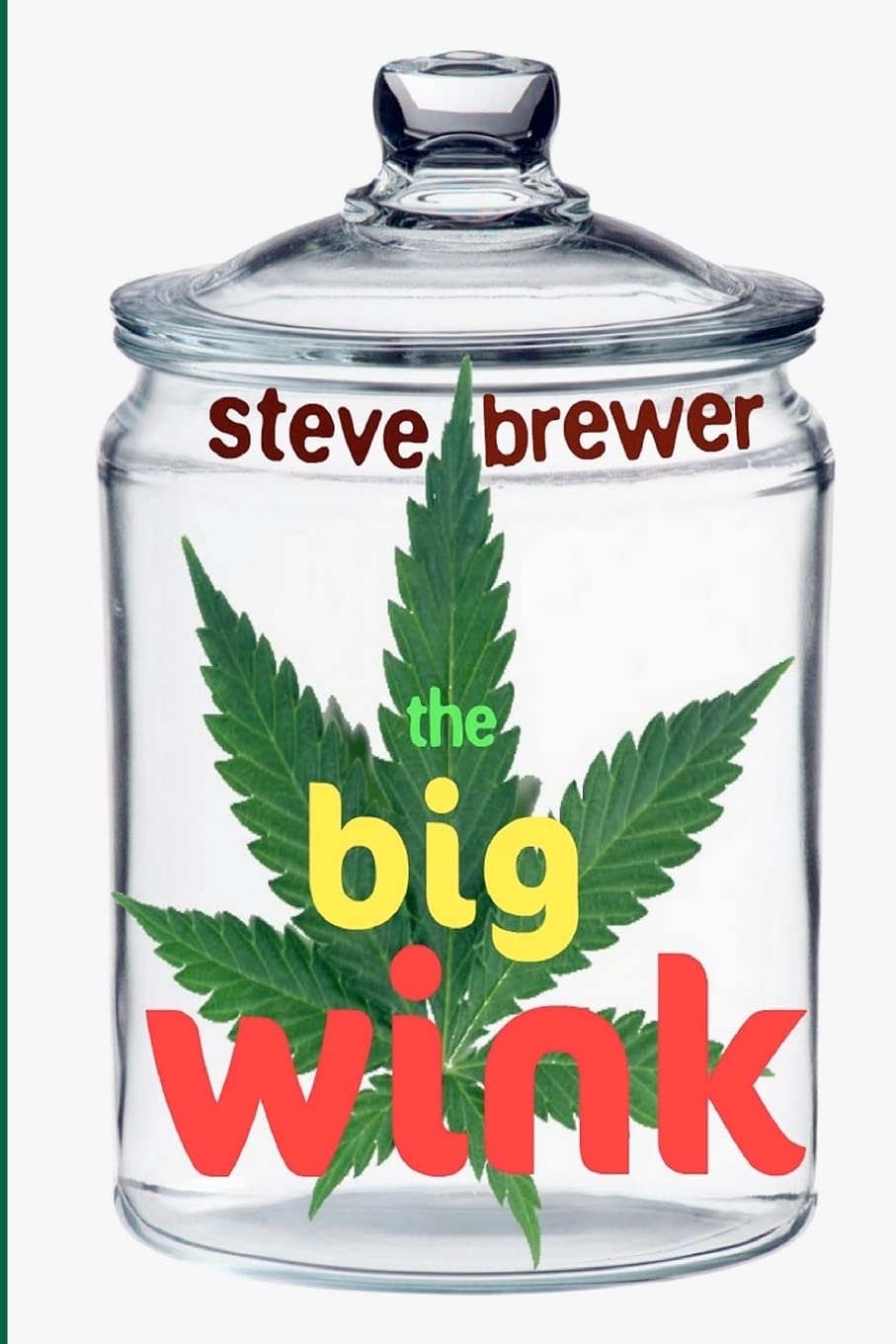 The Big Wink: Brewer, Steve: 9781481904612: Amazon.com: Books