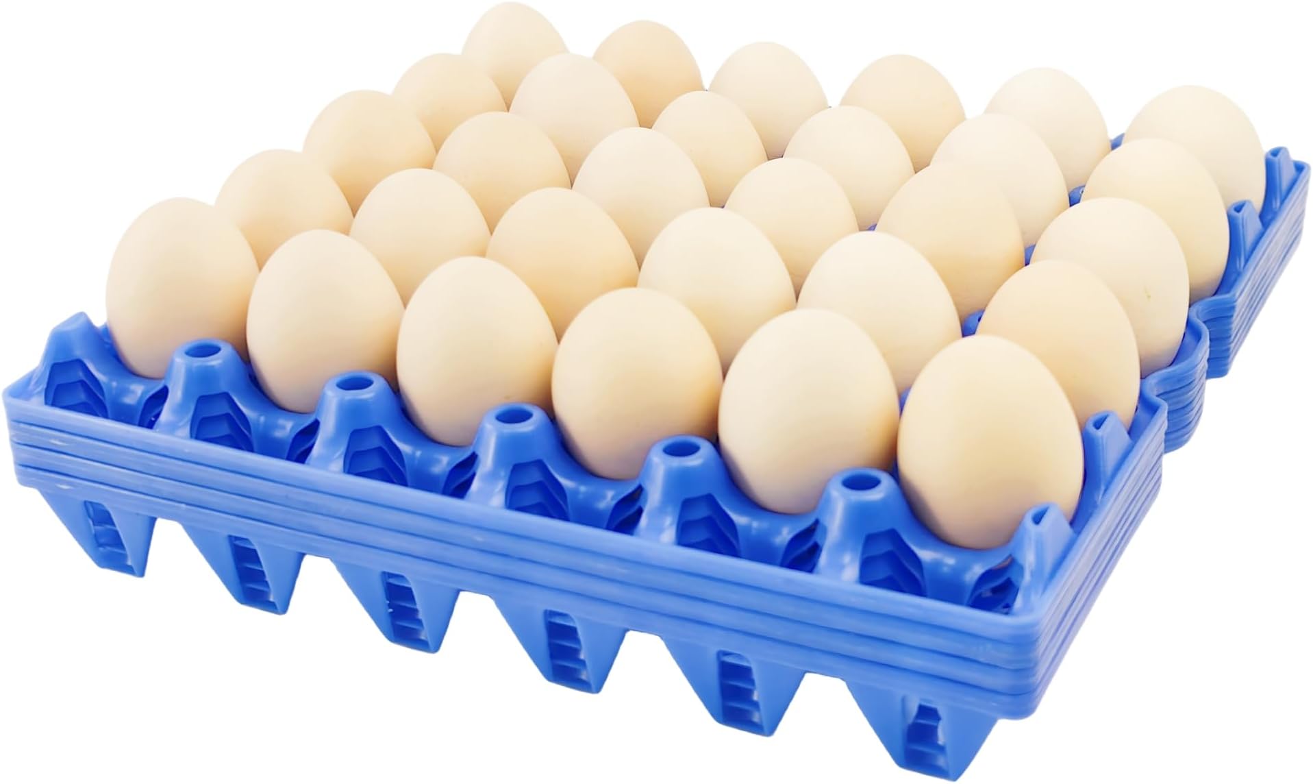 Amazon.com: 6 Pack Plastic Egg Trays, Each Holds 30 Eggs(#1) for Home ...