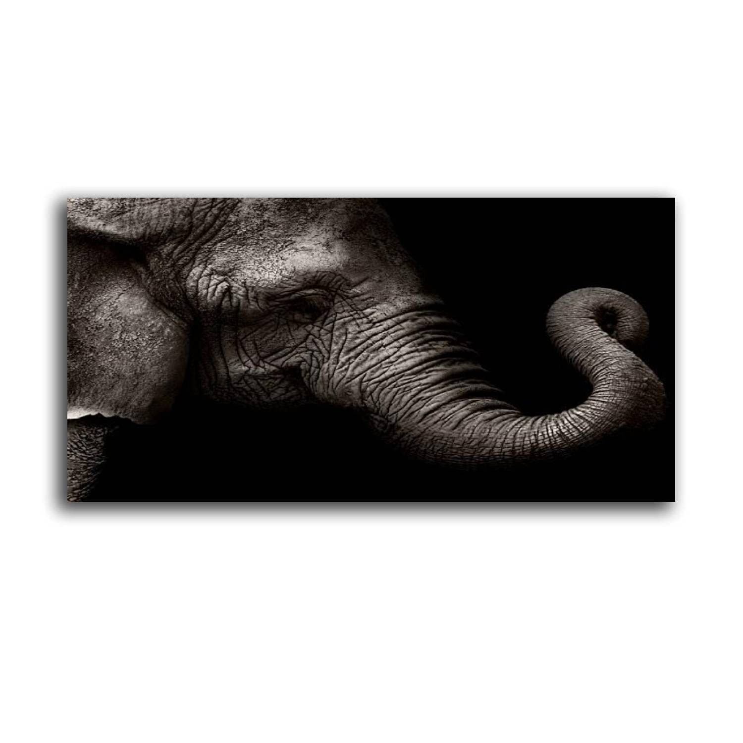 Size Contrast Photography