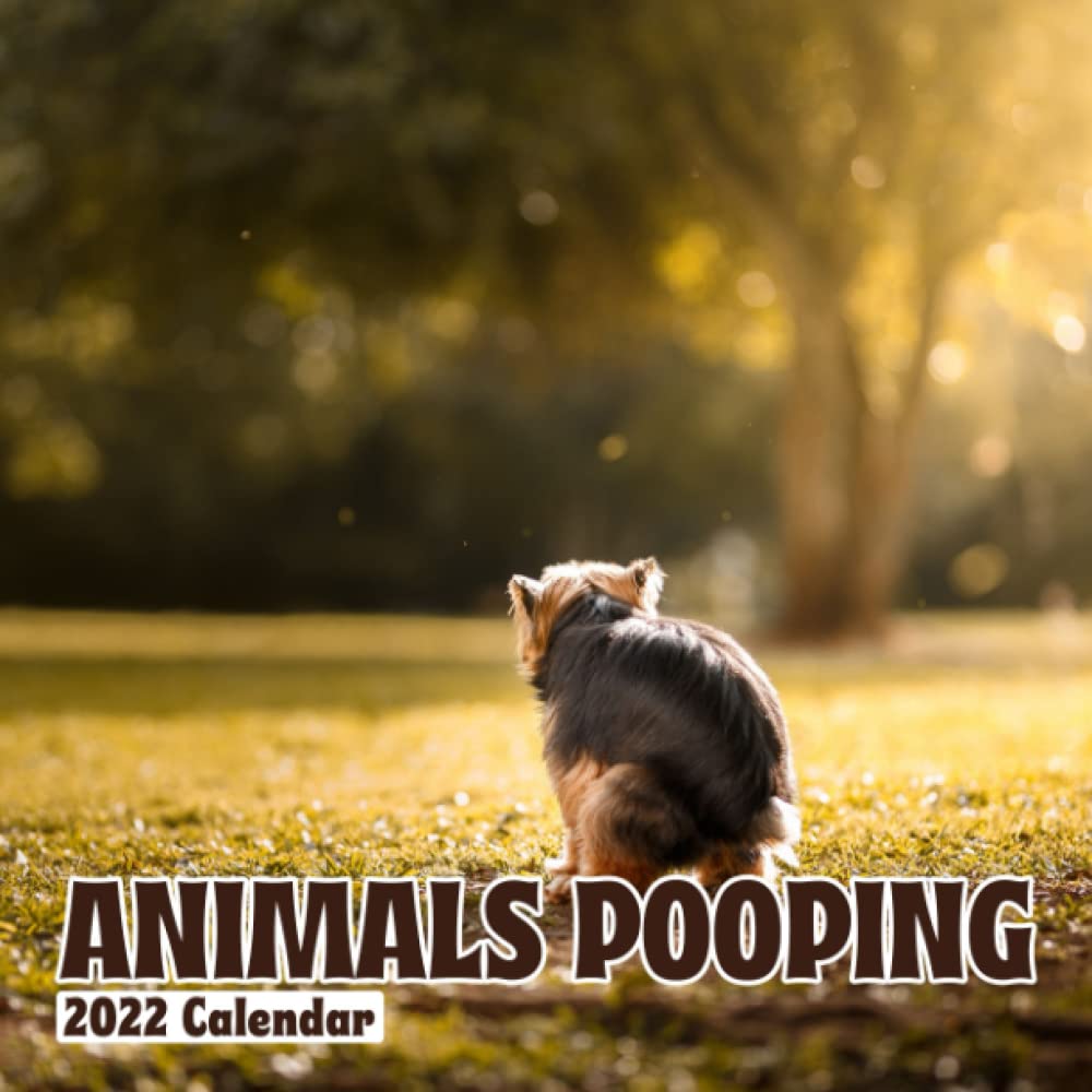 Animals Pooping Calendar 2022 Animals Pooping Official 2022 Monthly ...