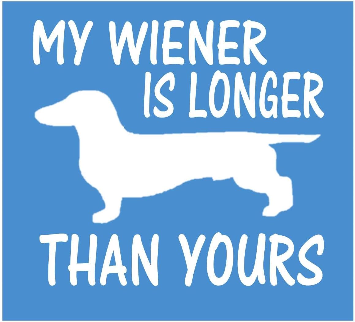 Amazon.com: My Wiener is Longer K466 6 inch Sticker dachshund dog decal ...