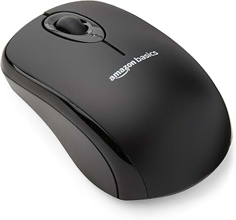 Amazon.com: Mouse