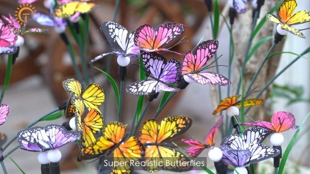 Fascinations Solar Butterfly Solar Butterfly, Hummingbird, And
