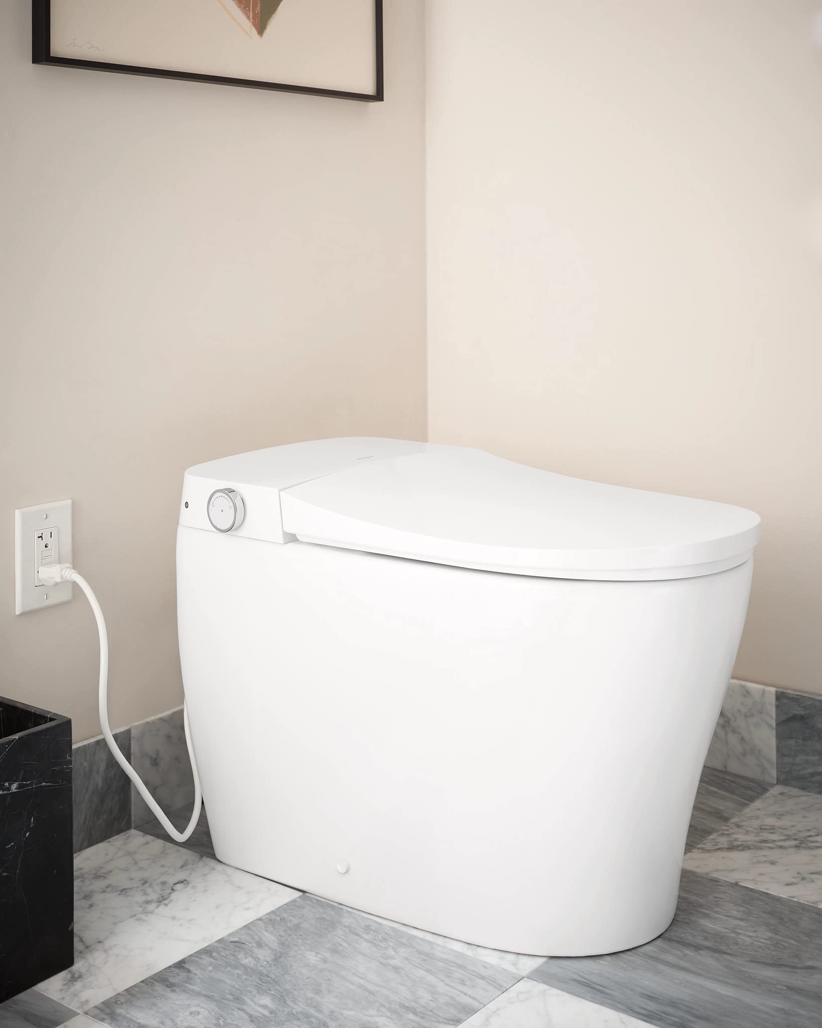 Moen ET900 2-Series Tankless One Piece Elongated Bidet Toilet in White ...