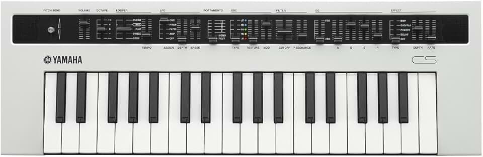 Amazon.com: Synthesizer & Workstation Keyboards - Synthesizer & Workstation Keyboards / Elec ...