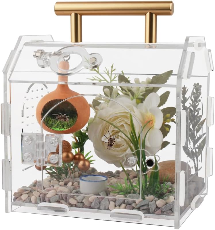 Amazon.com : GKPONSX Magnetic Acrylic Spider Terrarium, Transparent ...