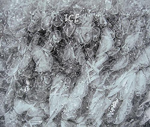 ICE: Bo Rex Moore: 9781364774837: Amazon.com: Books