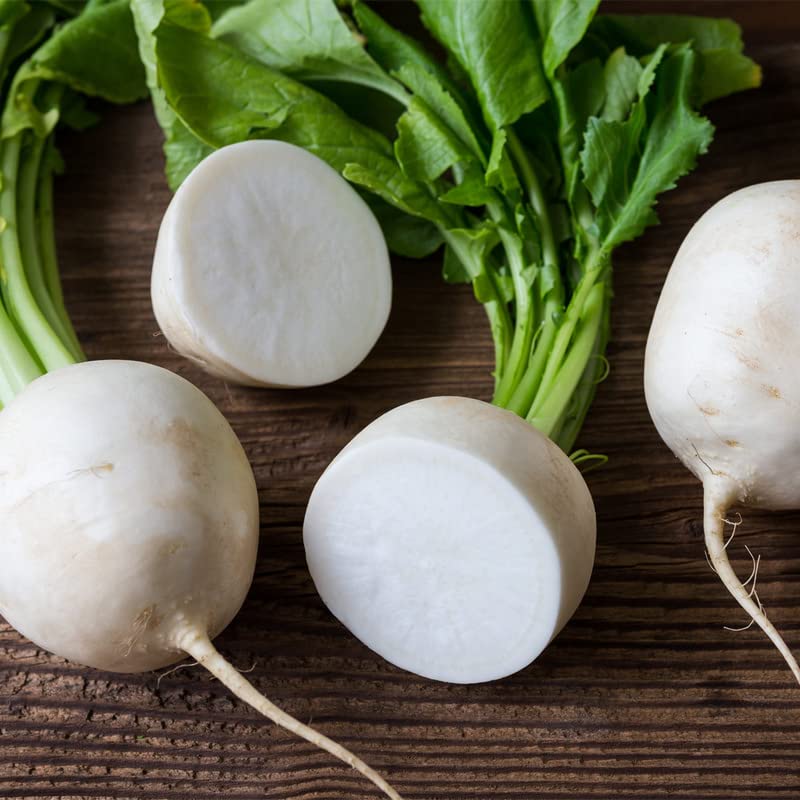 Turnip plant - How to grow & care