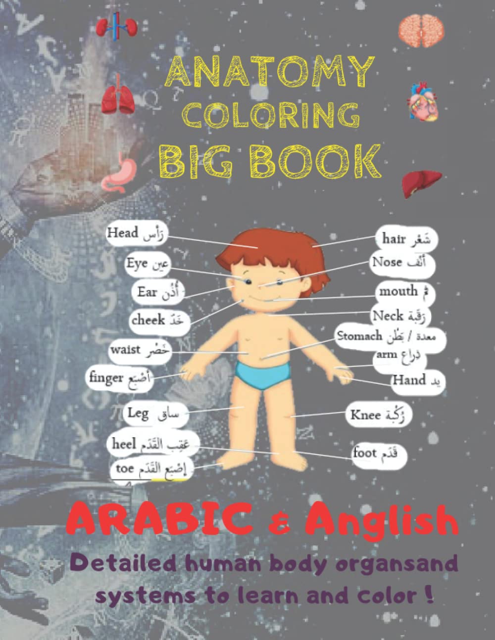 Buy Anatomy Coloring and Activities BIG BOOK, Arabic and English ...