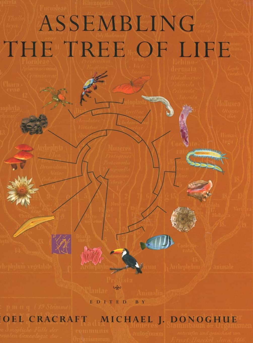 Amazon.com: Assembling the Tree of Life: 9780195172348: Cracraft, Joel ...