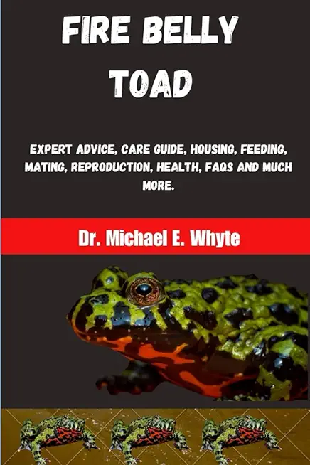 The Complete Guide To Keeping A Toad As A Pet: Tips, Care, And More | PetShun