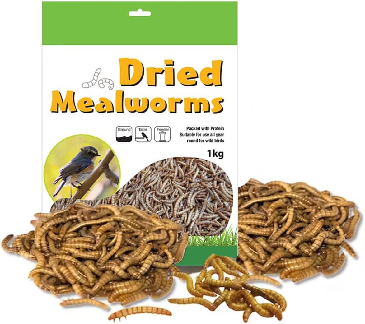 AAMEN 1Kg Dried Mealworms For Wild Birds, Attract More Birds to Your ...