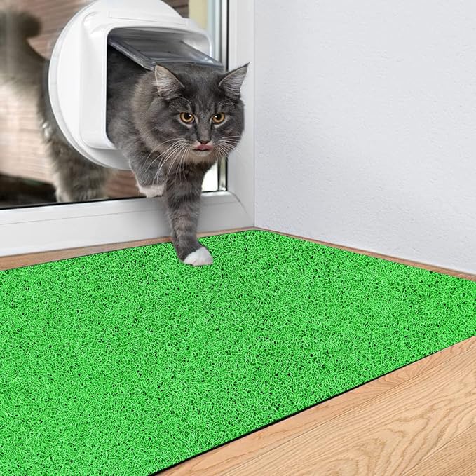 Buy CURSHEET HOMZ Cushion Noodle Rectangular Mat for Home Entrance ...