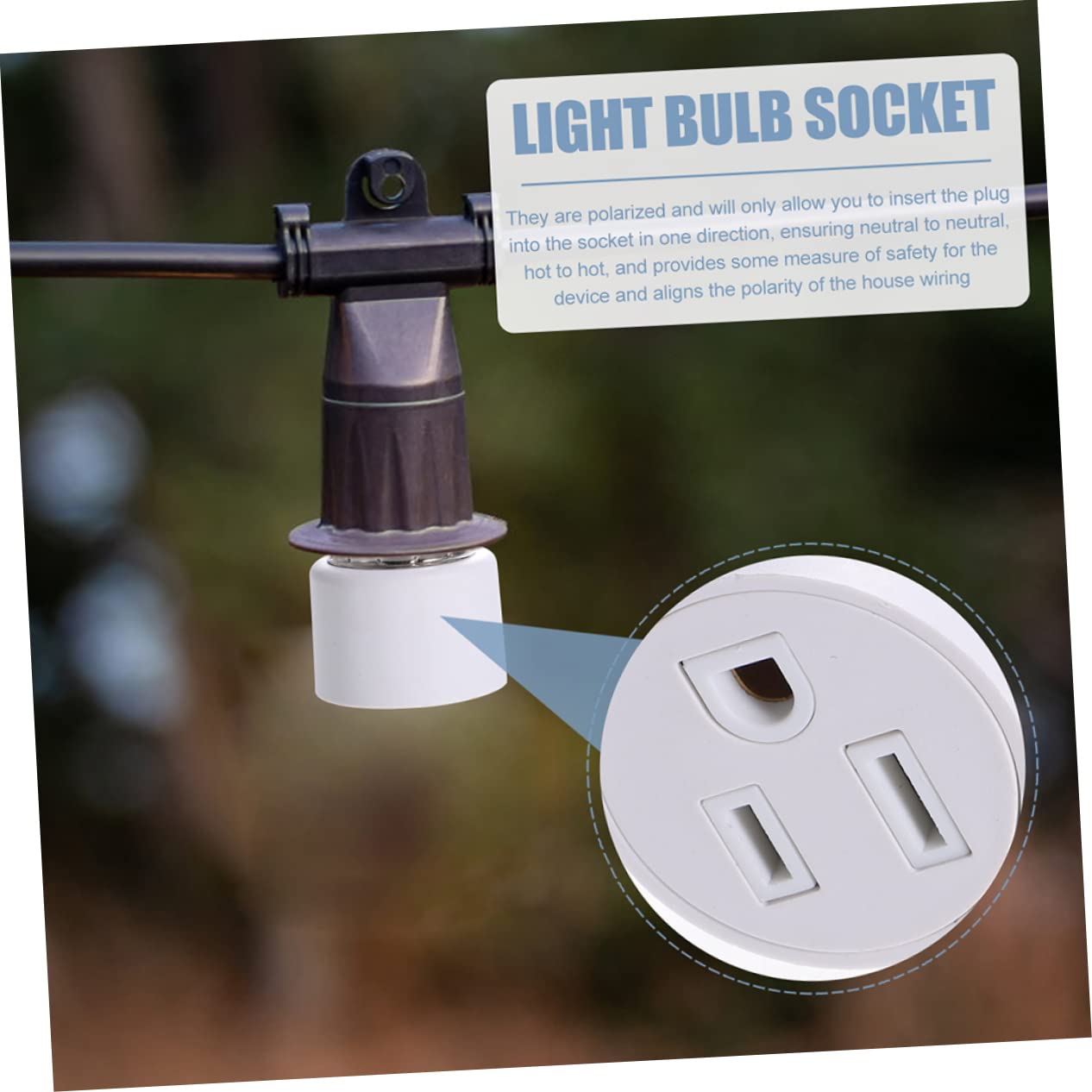 Socket Polarity Of Light