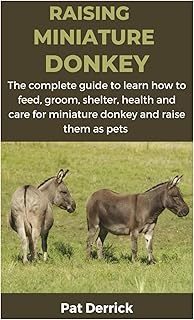 The Ultimate Guide To Raising Miniature Donkeys: Tips And Advice For ...