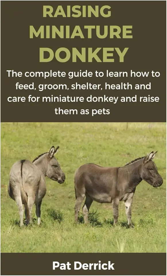 Why Donkeys Are Friendly And Gentle Creatures | PetShun