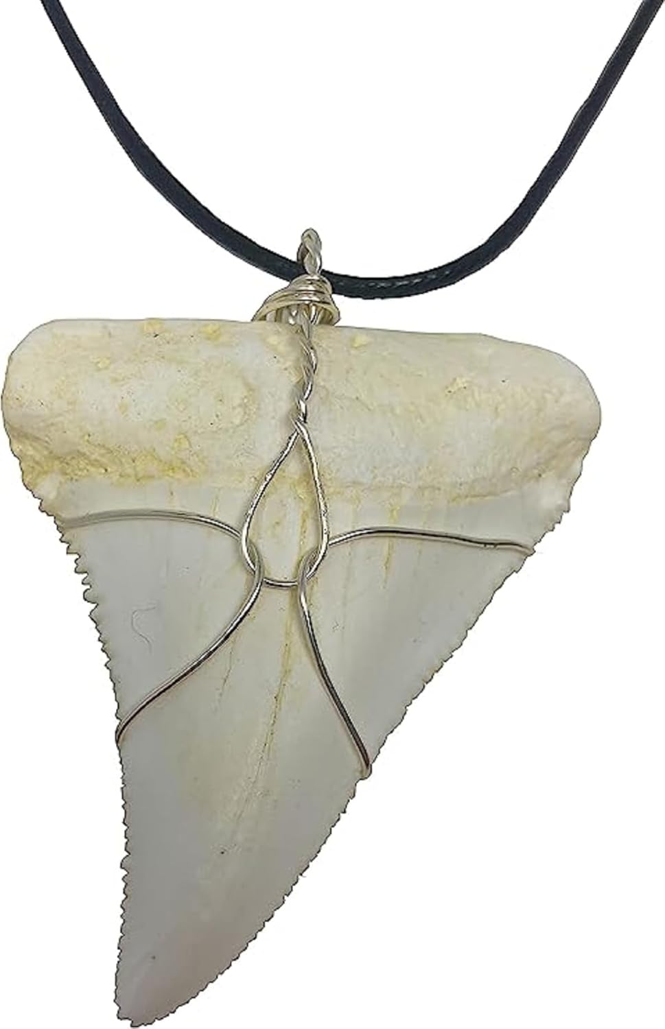 Amazon.com: Grant Field Specimens Large Realistic Replica Great White ...