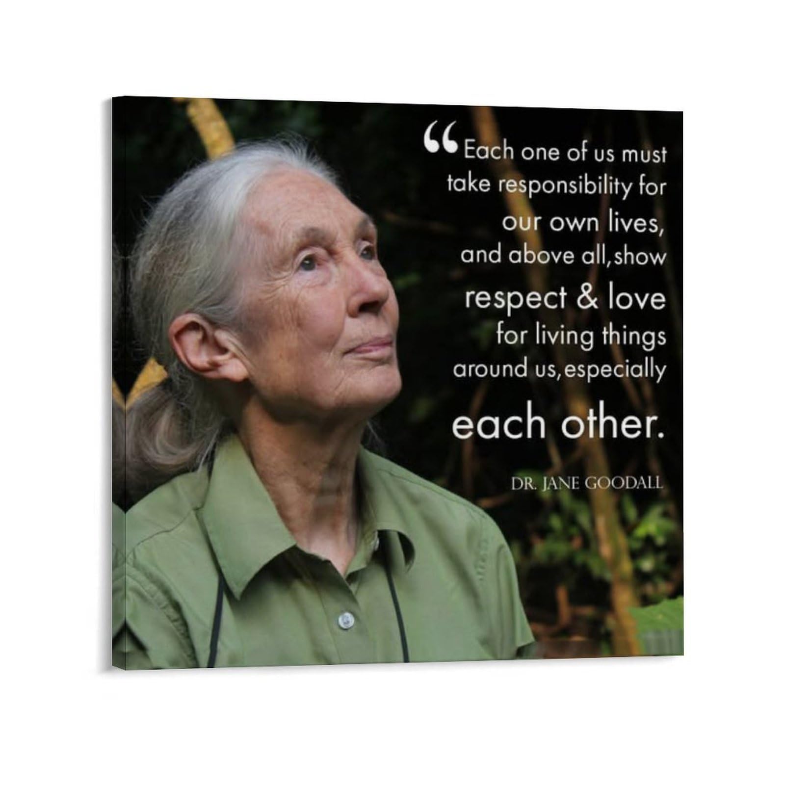 Dr Jane Goodall Quotes