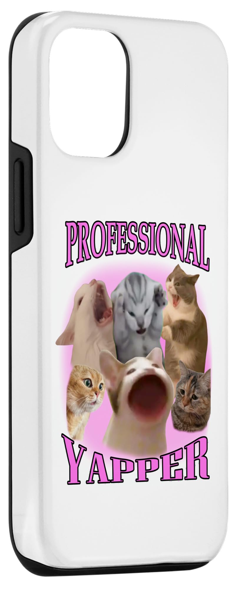 Emperor Cat Memes Lolcats Lion King LOL At Funny Cat Memes Funny