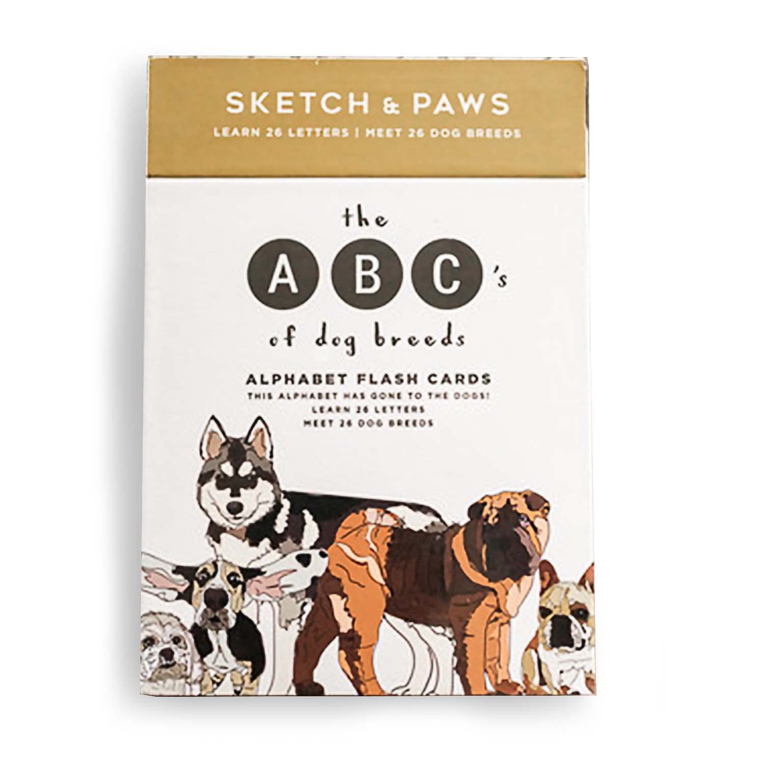 Sketch And Paws The Abcs Of Dog Breeds Alphabet Flash | Desertcart Aruba