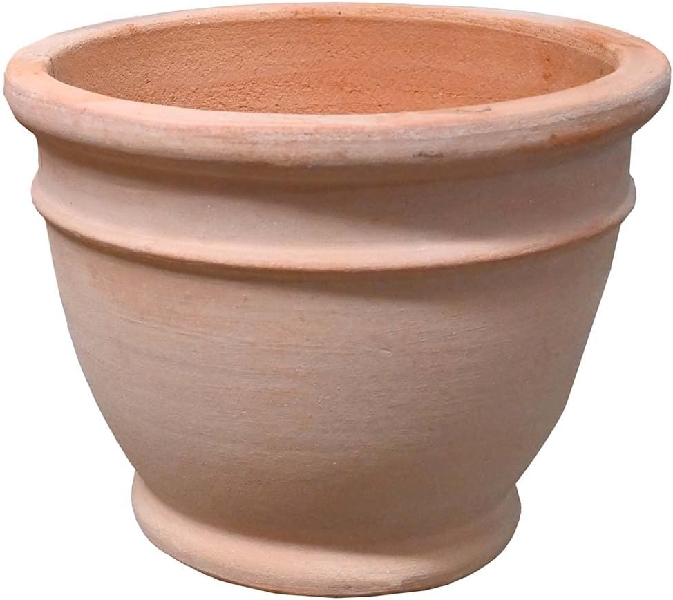 Terracotta Everett Pot, Large : Amazon.com.au: Garden