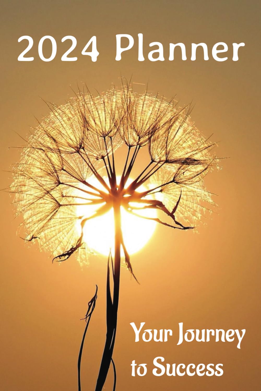 Amazon.com: 2024 Success Planner: Plan your year for success ...