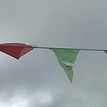 Amazon.com : Loopjoygame 250pcs Multicolor Pennant Flags,LOOBJOYGAME ...