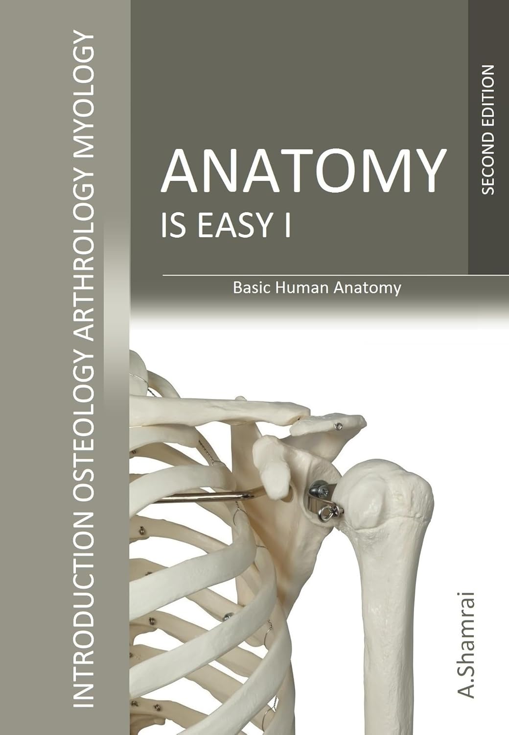 Amazon.com: Anatomy is Easy I: Illustrated study guide for students ...