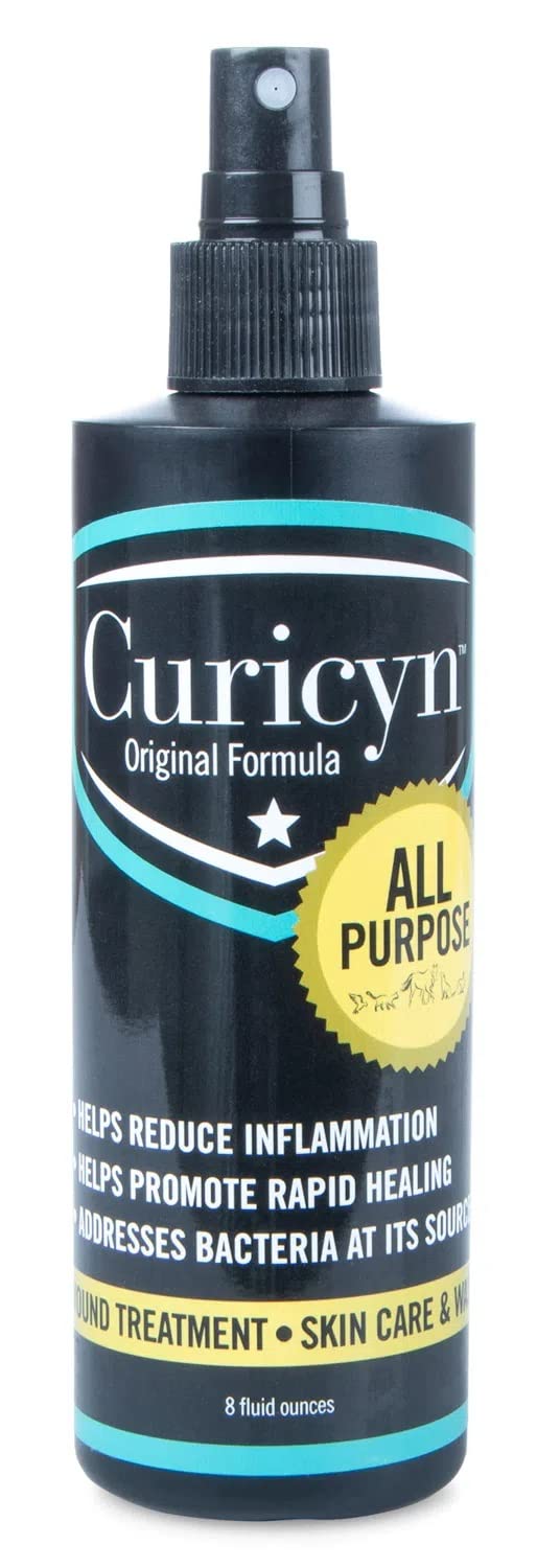 Amazon.com: Curicyn Original Formula 8 oz Spray Animal Wound Care ...