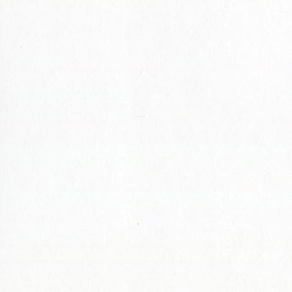 Amazon.com: Bazzill Basics Paper Card Shoppe Heavy Weight Cardstock, 25 ...