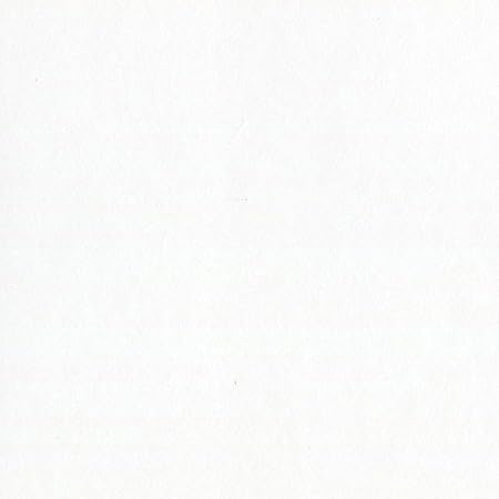 Amazon.com: Bazzill Basics Paper Card Shoppe Heavy Weight Cardstock, 25 ...