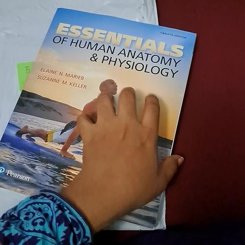 Essentials Of Human Anatomy Physiology 12th Edition Pearson Anatomy