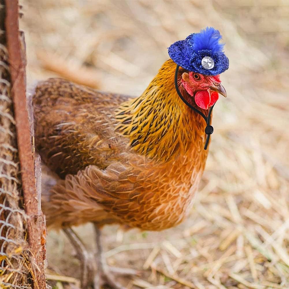 3PCS Chicken Hats For Hens,Tiny Pets Funny Chicken Accessories,Mini ...