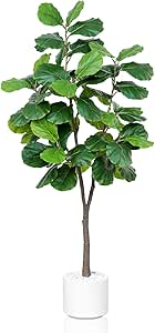 Amazon.com: Keeplush Hand-Made Fiddle Leaf Fig Tree Artificial 6ft - Faux Fiddle Leaf Fig Tree ...
