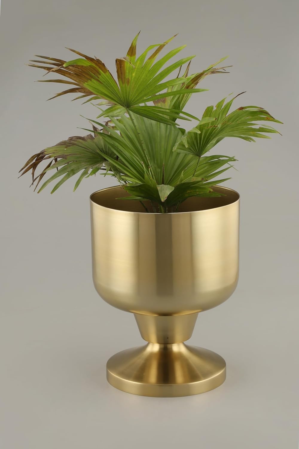 Rust & Shine Bloom Space Iron Plant Pot - Gold Finish | Durable Metal ...